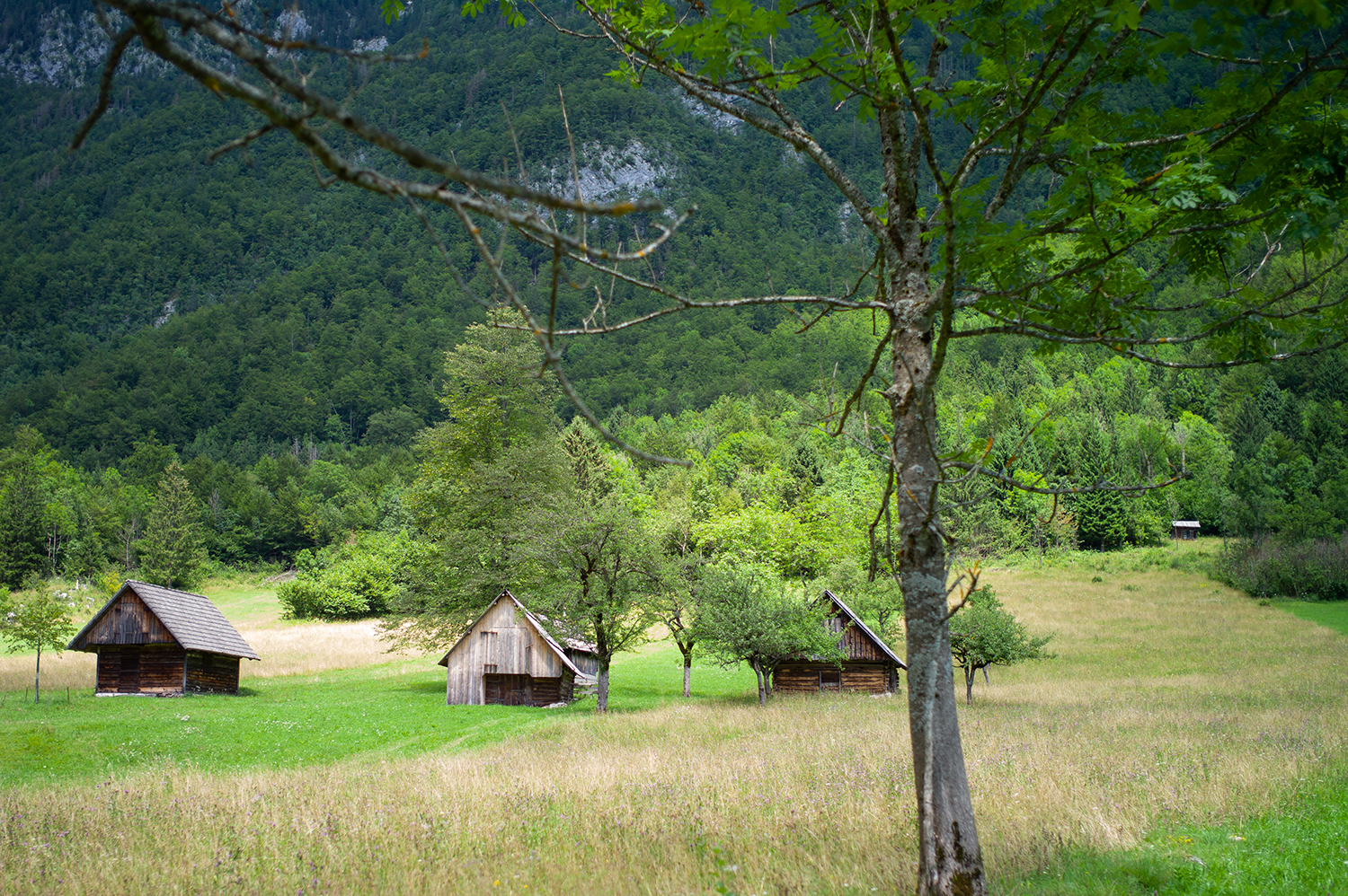Slovenian Alps _Triglavski Nardoni Park _Voje Valley+Slap Mostnice | en ...