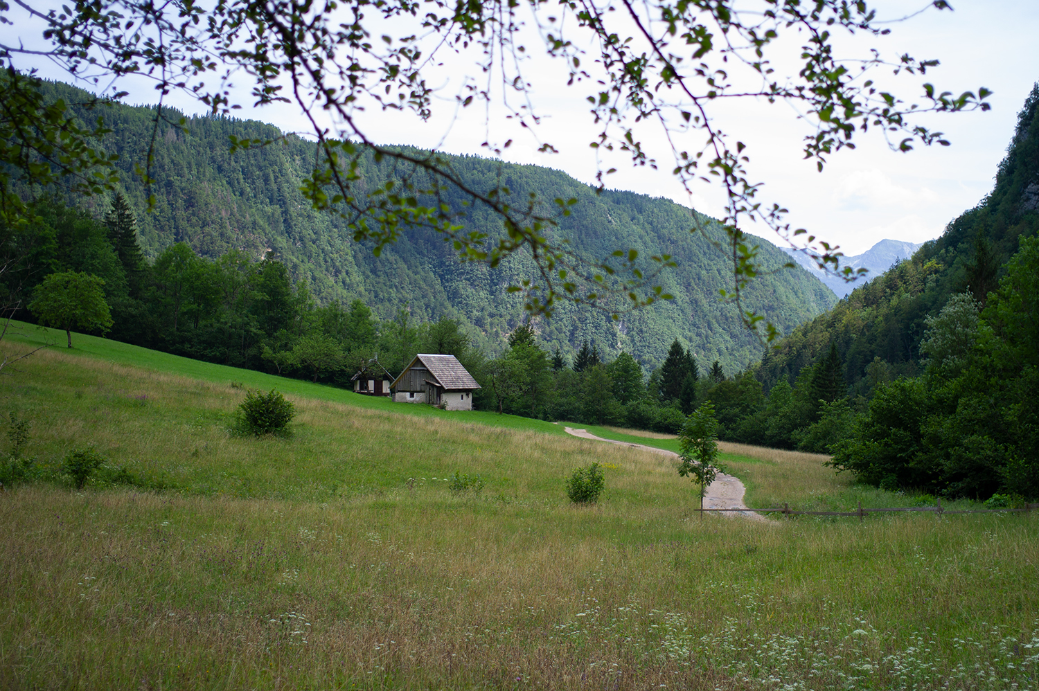 Slovenian Alps _Triglavski Nardoni Park _Voje Valley+Slap Mostnice | en ...
