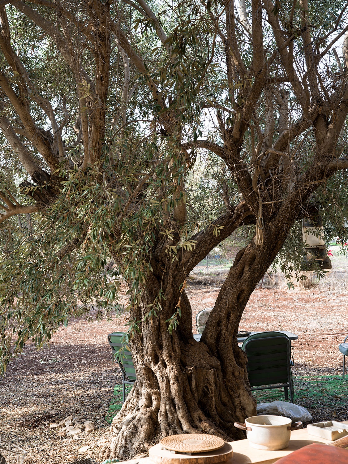 Sea of Galilee _Migdal _Israel | en route