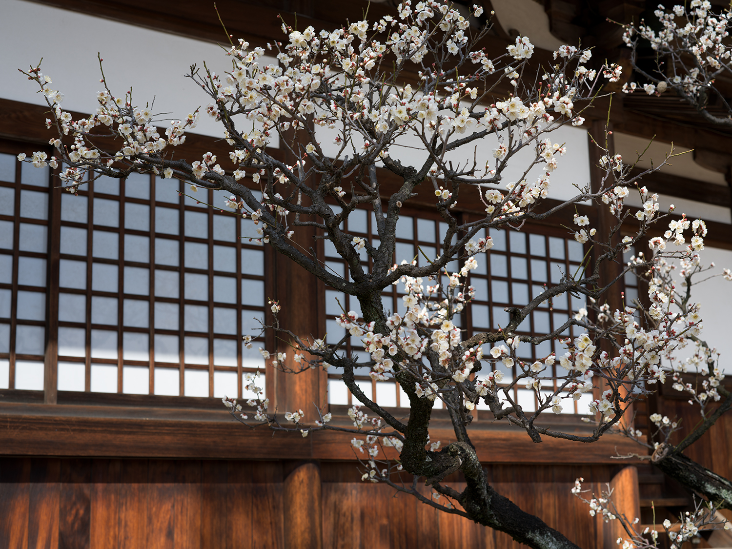 Hiroshima _Shrines and cemeteries _Japan | en route