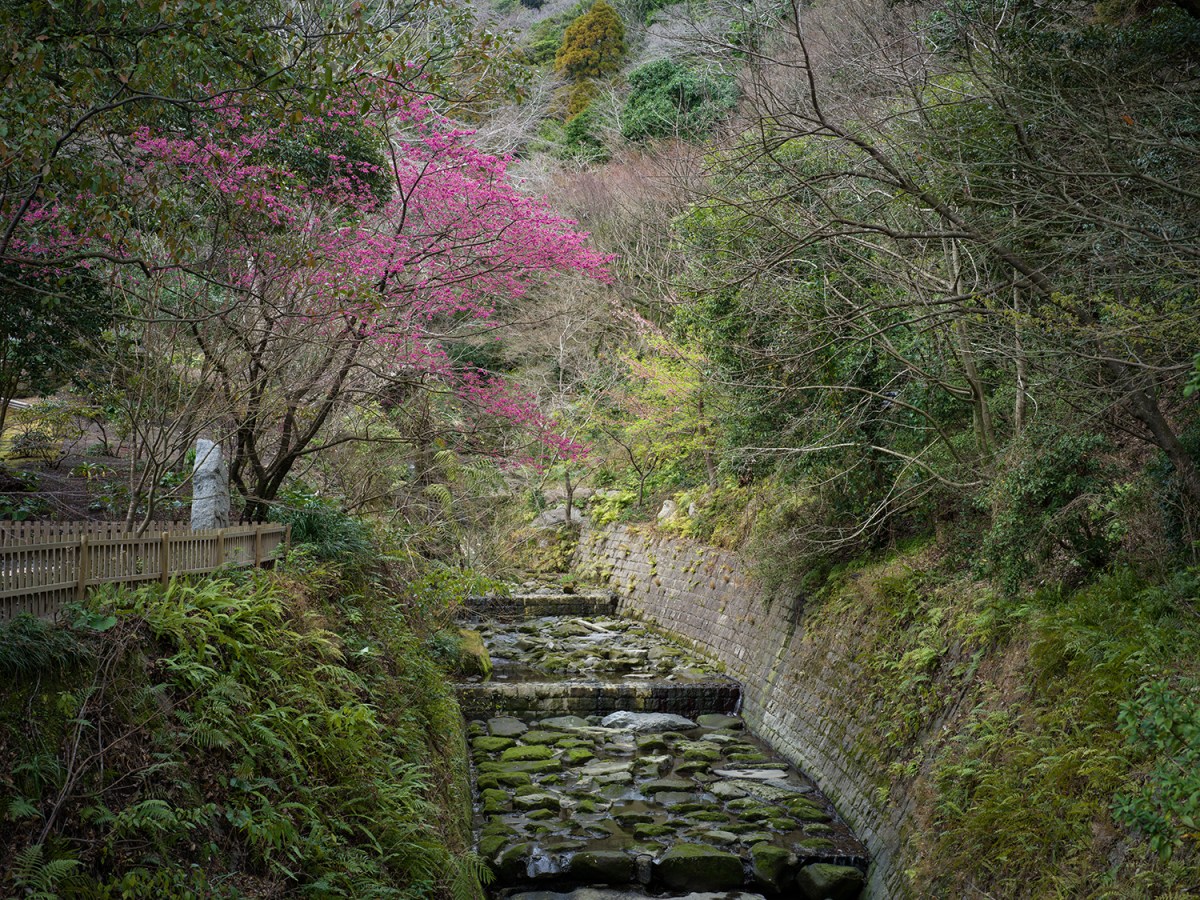 Sengan-en garden _Kagoshima _Kyūshū _Japan | en route